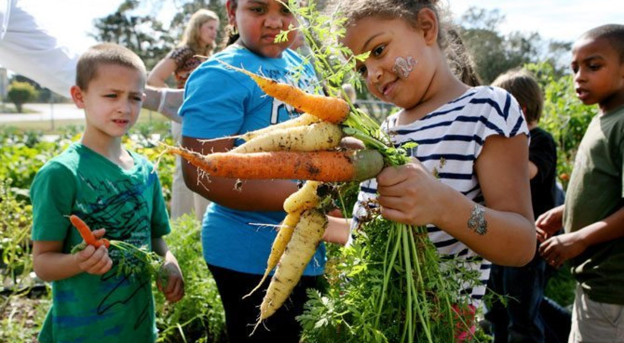 Garden-Based Learning - BOOST Cafe