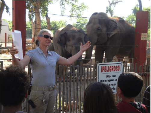 Fun for the Zoo: Engineering Enrichment and Enhancement – BOOST Cafe