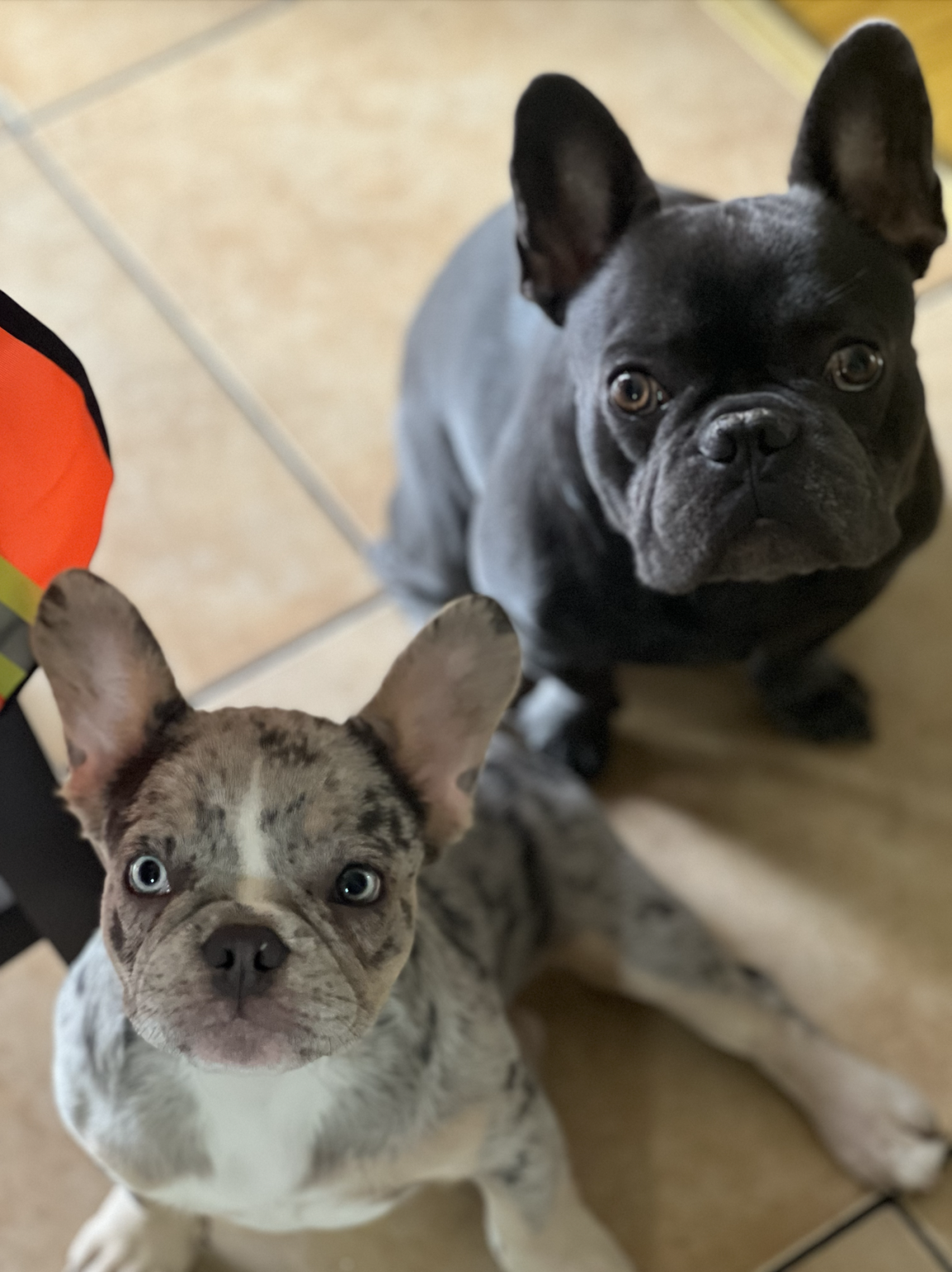 BOOST GTKY 2024 – Let’s Get to Know BOOST Leadership Team Member ...